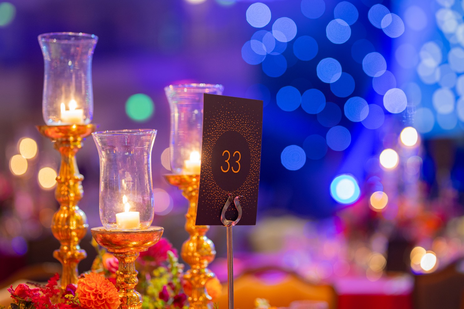 Care Sector Fundraising Ball 2024: The Highlights • Championing Social Care